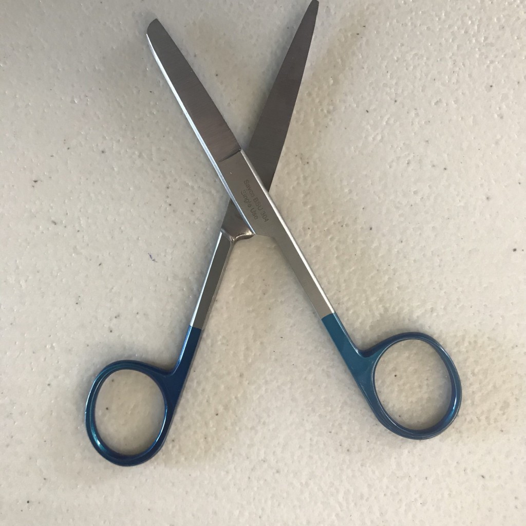 Sterile Dressing Scissors | BRISTLE UP