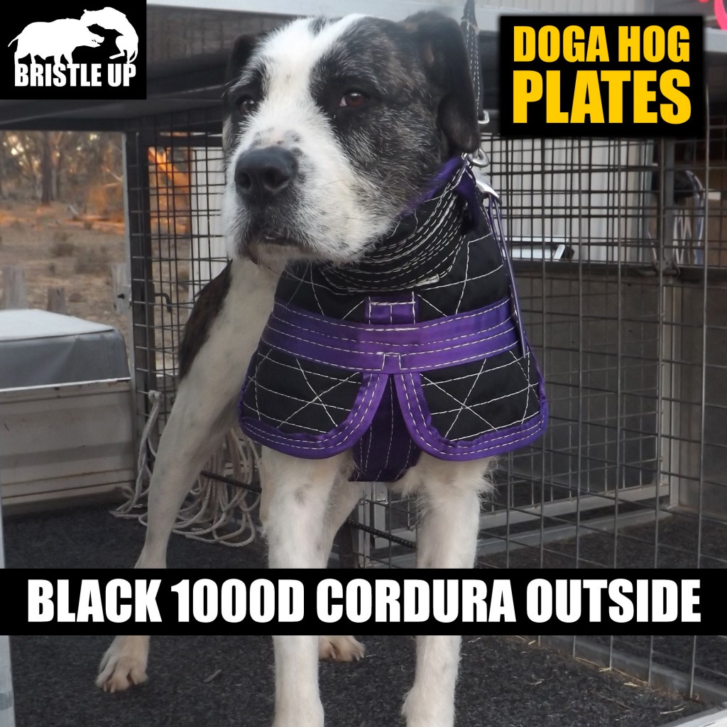 Chest plates & Yard Collars | BRISTLE UP