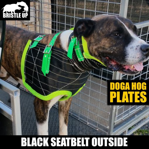 Chest plates & Yard Collars | BRISTLE UP