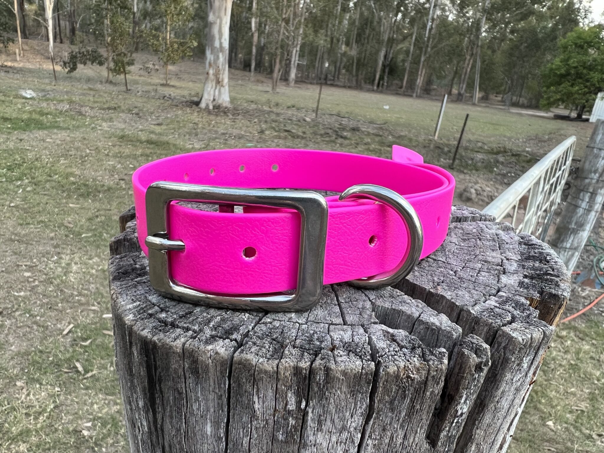 Collar with Tag – Pink PVC – Aussie Tough – Bristle Up