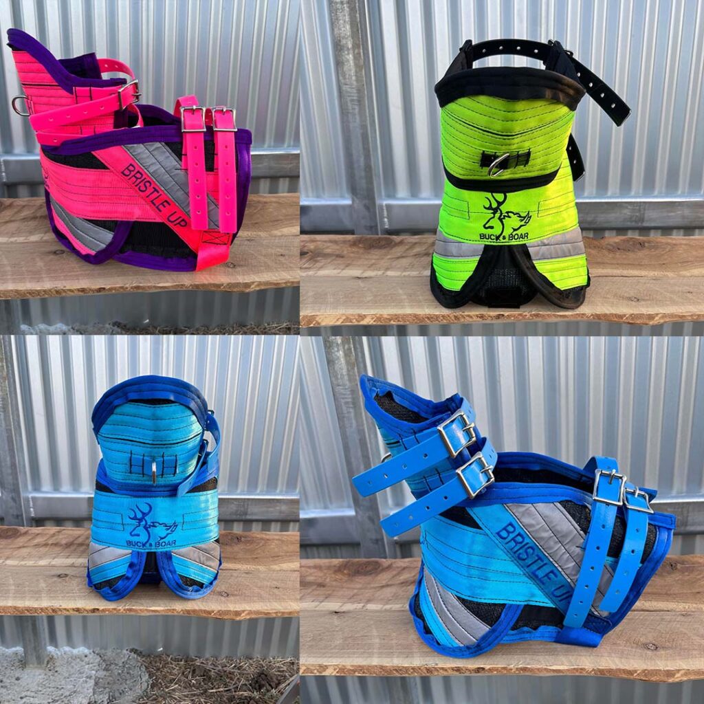 Phoenix Plate – Buck & Boar – BRISTLE UP