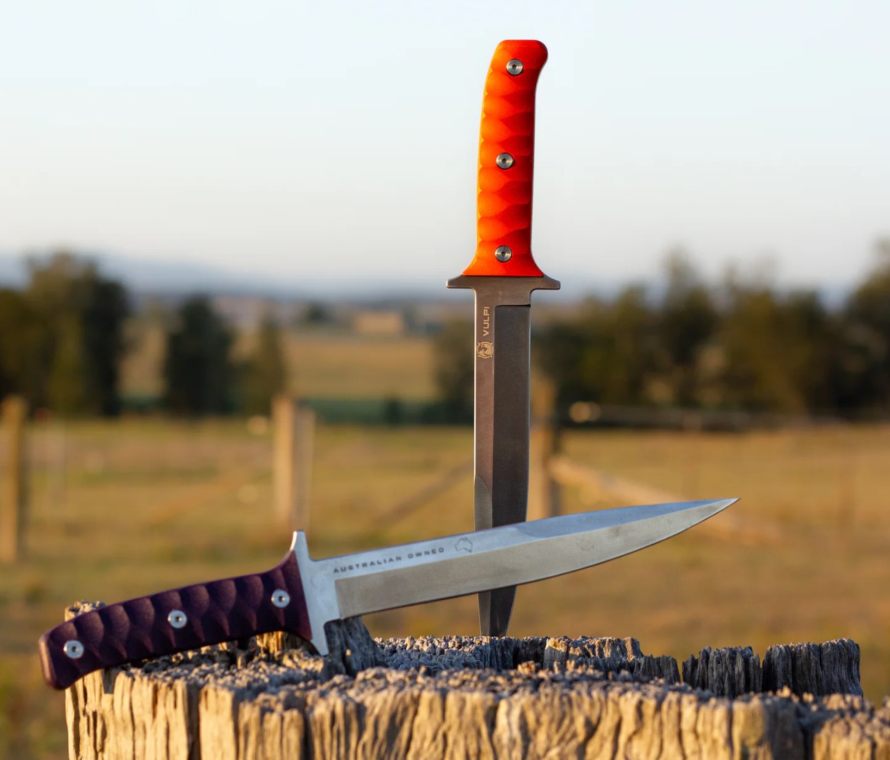 Vulpi Pig Sticker Knife – BRISTLE UP